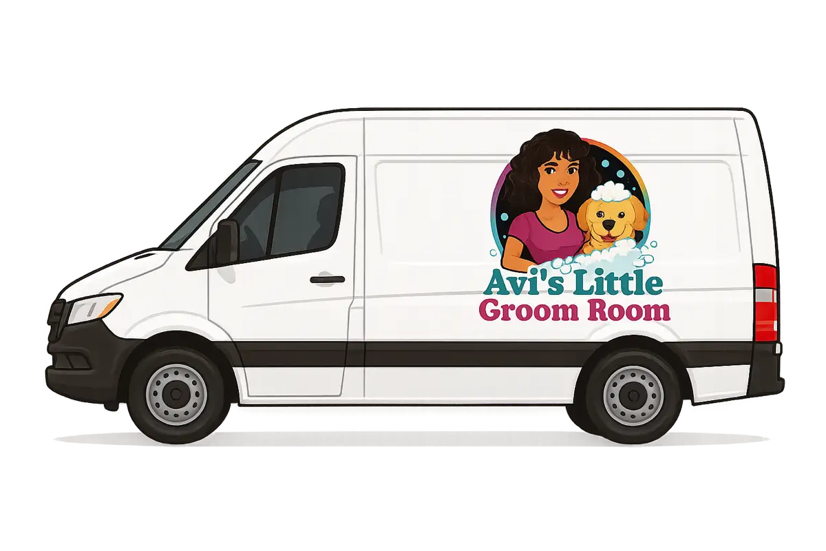 Avi's Little Groom Room